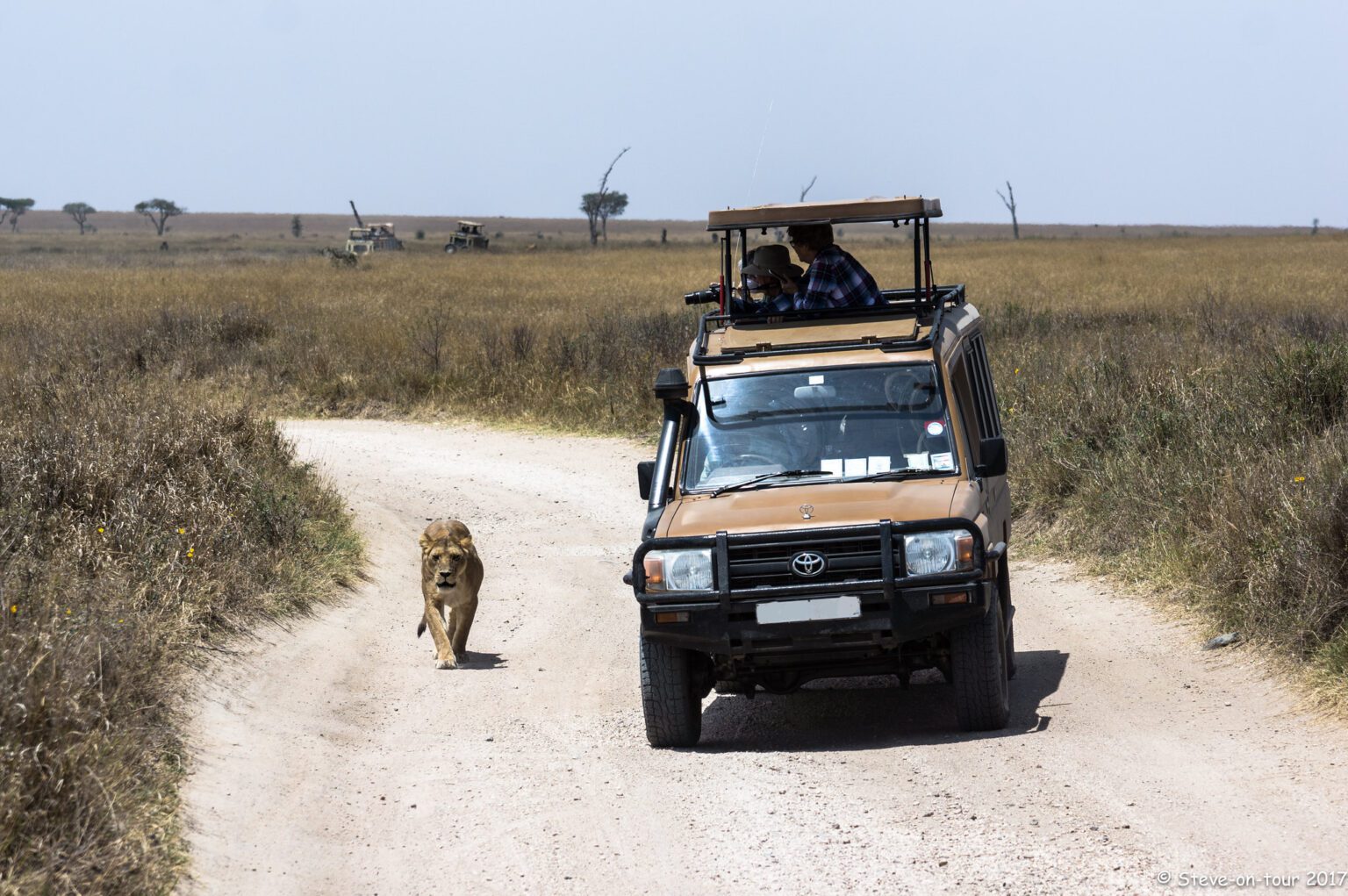 Ngorongoro Crater Safari Experiences - Explore the Best with Victoria ...